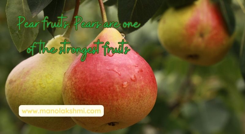 Pear fruits: Pears are one of the strongest fruits - Mano Lakshmi